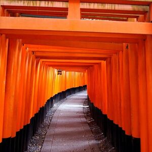 Kyoto: Guided Sightseeing Bus Tour in Japanese, Kyoto - Tickets and ...
