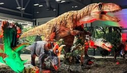 North Carolina State Fairgrounds, Raleigh: Events, program and tickets ...