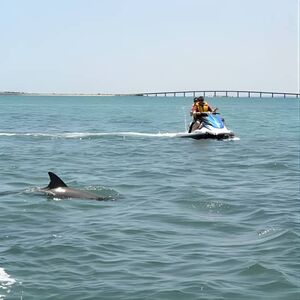 Perth Jet Ski Tour, Rockingham - Tickets und Infos für 16.01.2026