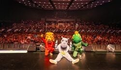 Tectake Arena, Würzburg: Veranstaltungen, Programm und Tickets - finde ...