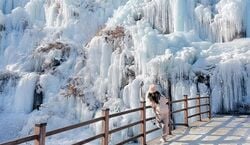Seoul: Winter Tour at Eobi Ice Valley, Nami Island, and More, , Seoul ...
